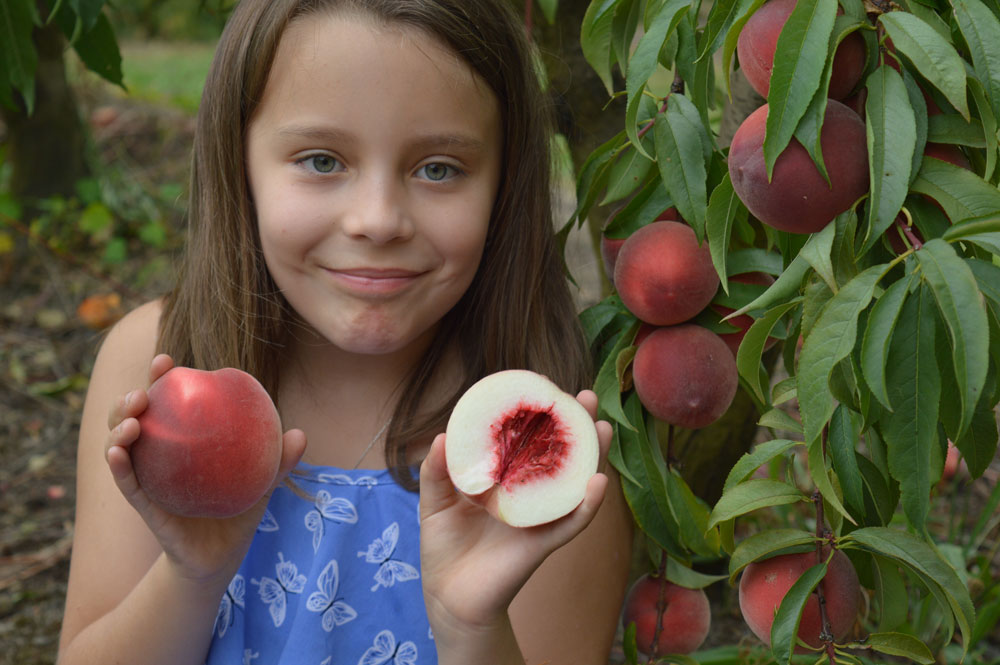 Win A Rayners Farm Package For A Family Of 4 - Rayners