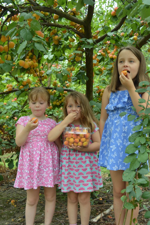 Girls with Apricots - Rayners