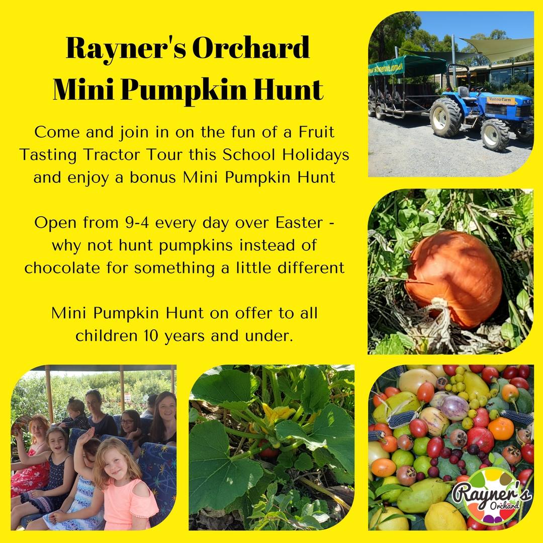 Easter mini Pumpkin Hunt - Rayners