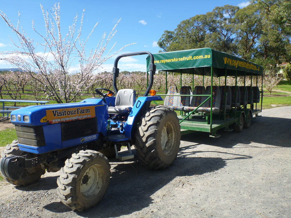 Blossom-Tractor-Tours - Rayners