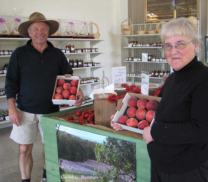 rayners-farm-shop-1 - Rayners