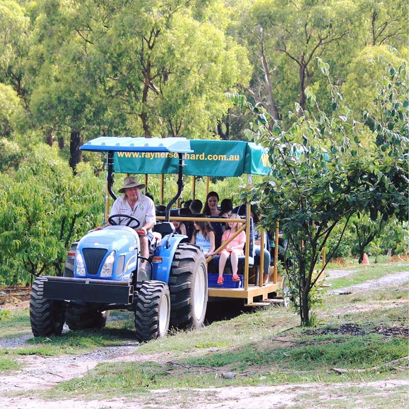 Tour Operators - Rayners